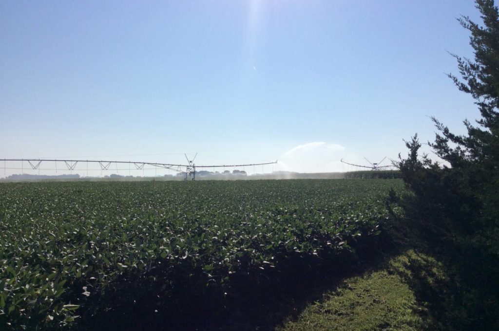 Greving Farms, Chapman, Nebraska - U.S. Soy