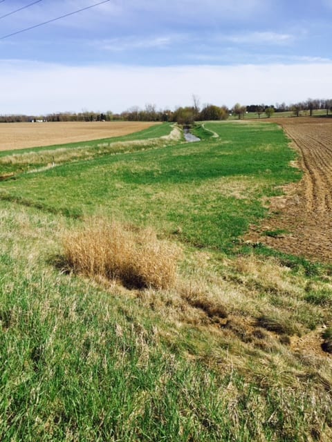 Filters for Our Coffee, Our Crops and Our Water - U.S. Soy