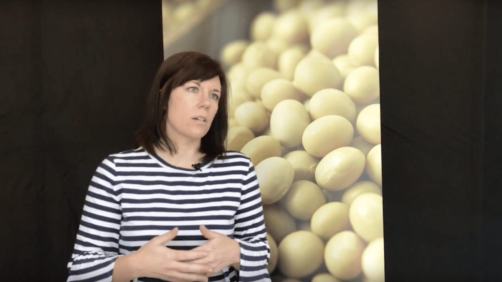 Minnesota Soybean Farmer Builds Relationships with Southeast Asian ...