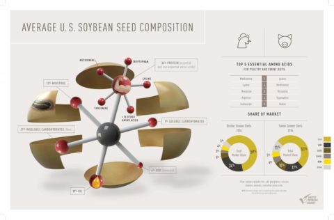 U.S. Soybean Meal: Quality and Economic Benefits - U.S. Soy