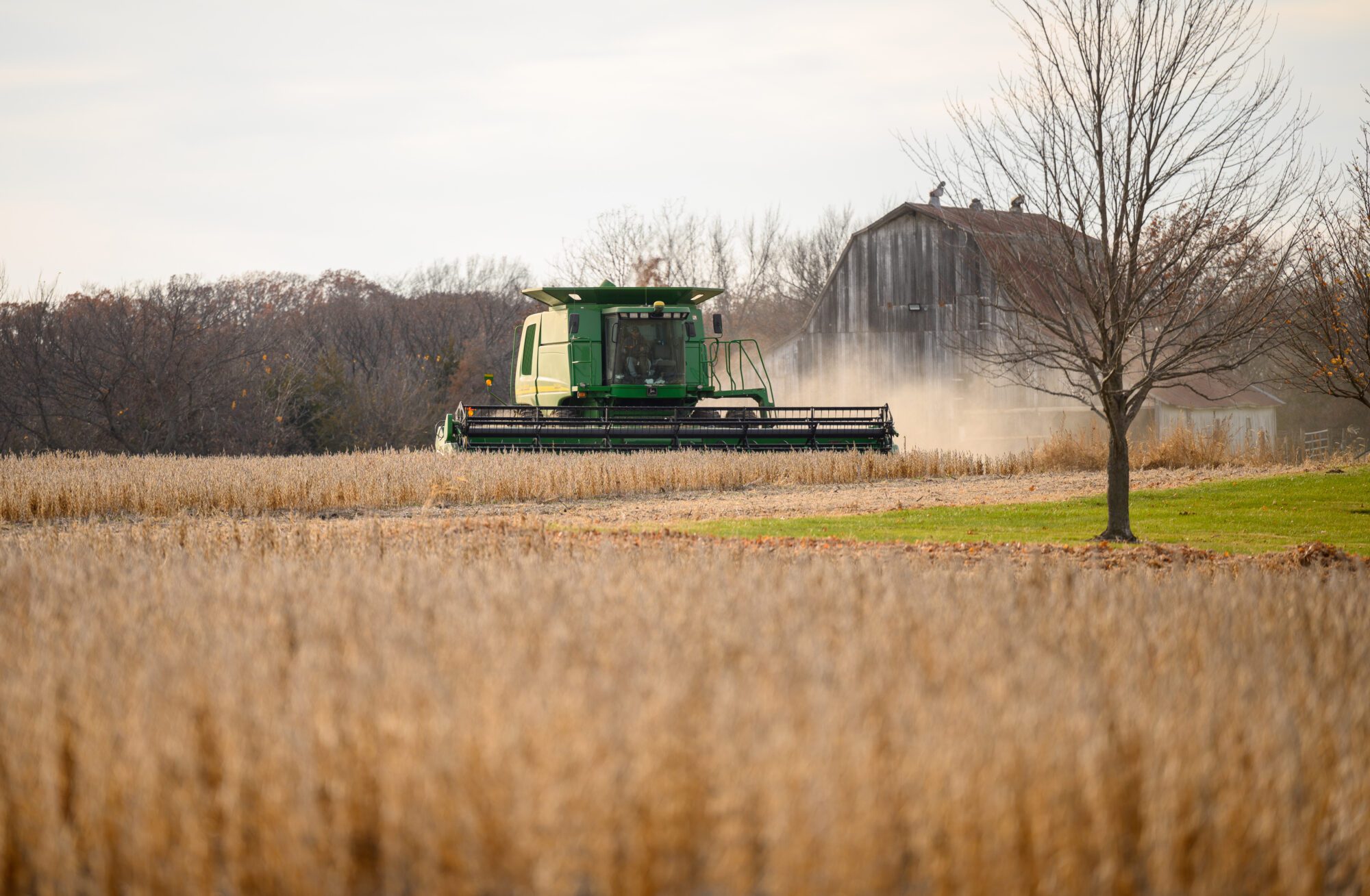 Sustainability - U.S. Soy
