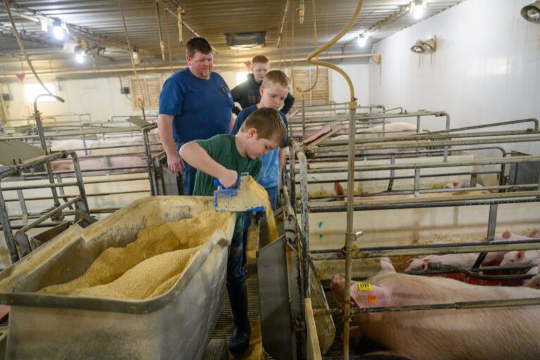 What Are Soybeans Used For? Soybean Uses and More - U.S. Soy